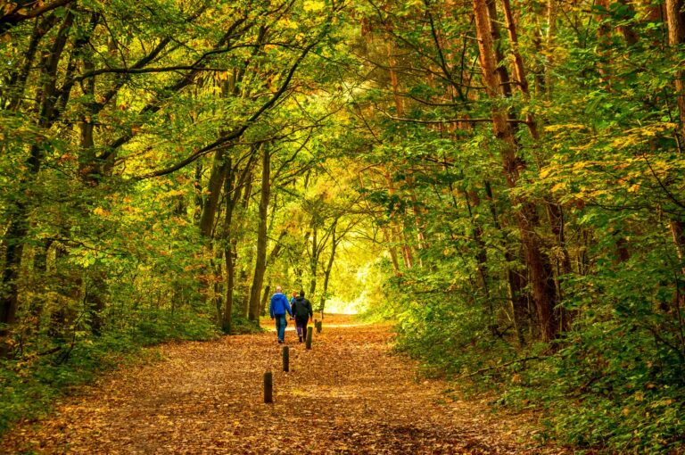 Wandeltochten - Domme Aanleg